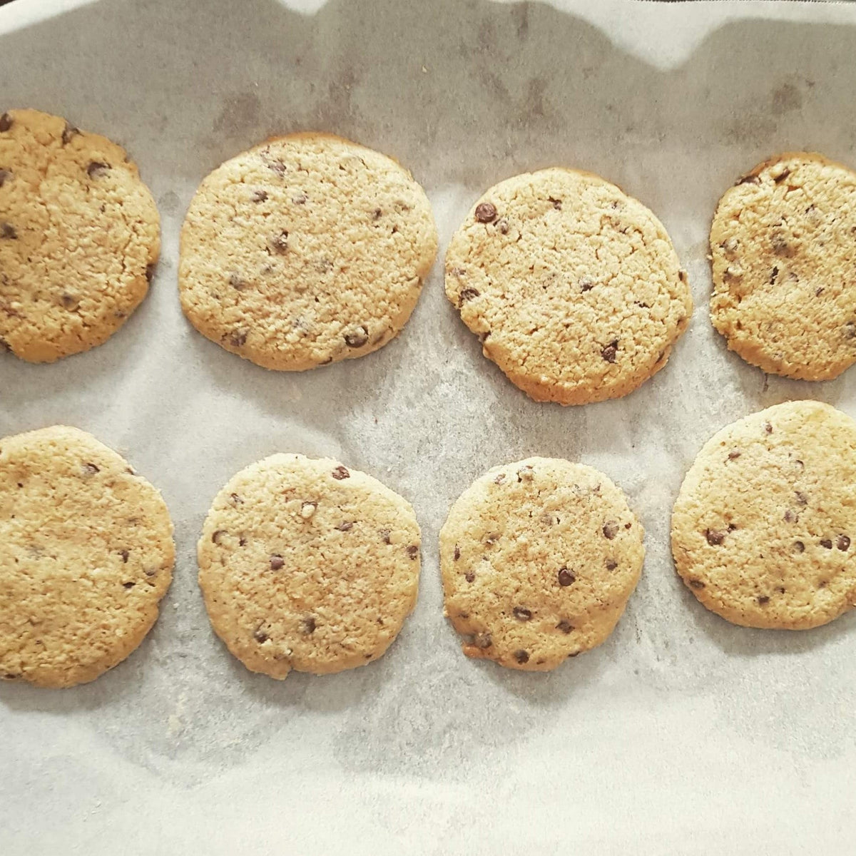 Vanilla Protein Chocolate Chip Cookies